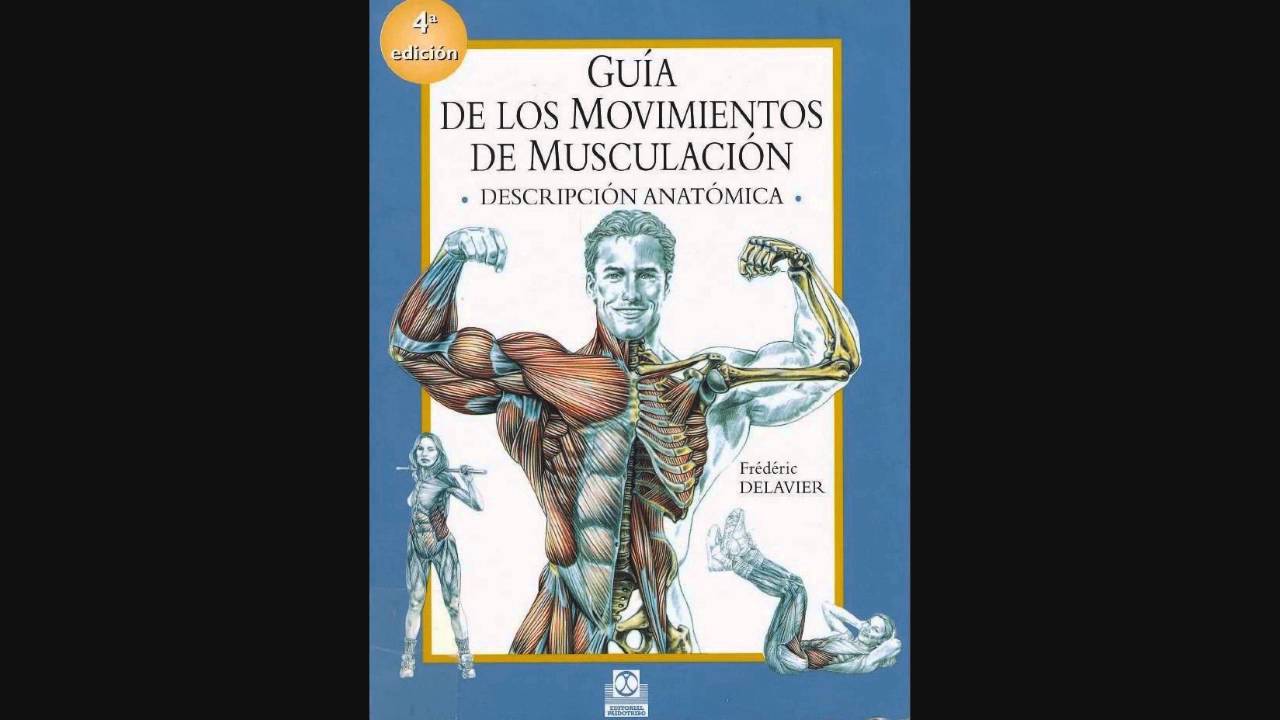 Descargar El Libro De Los Musculos Pdf Leer Un Libro