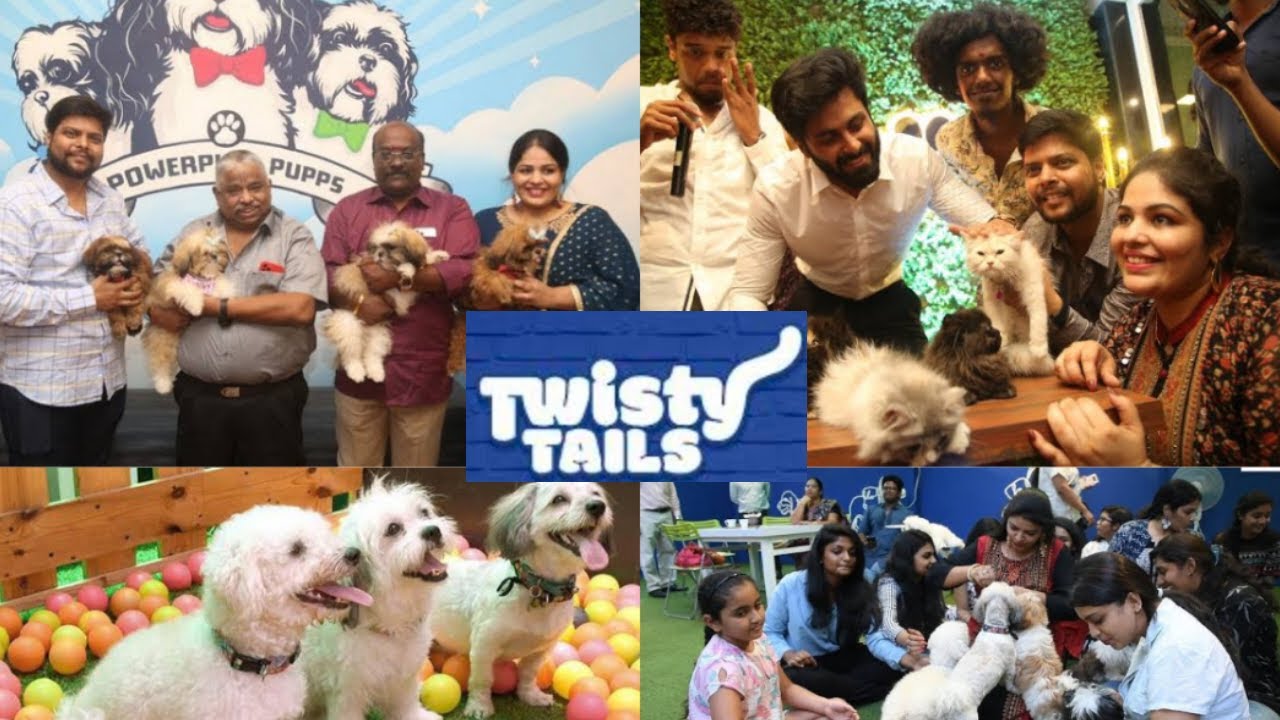 рџ ґ Twisty Tails Twistytails Foodie Pets Petlover Mdmgworld