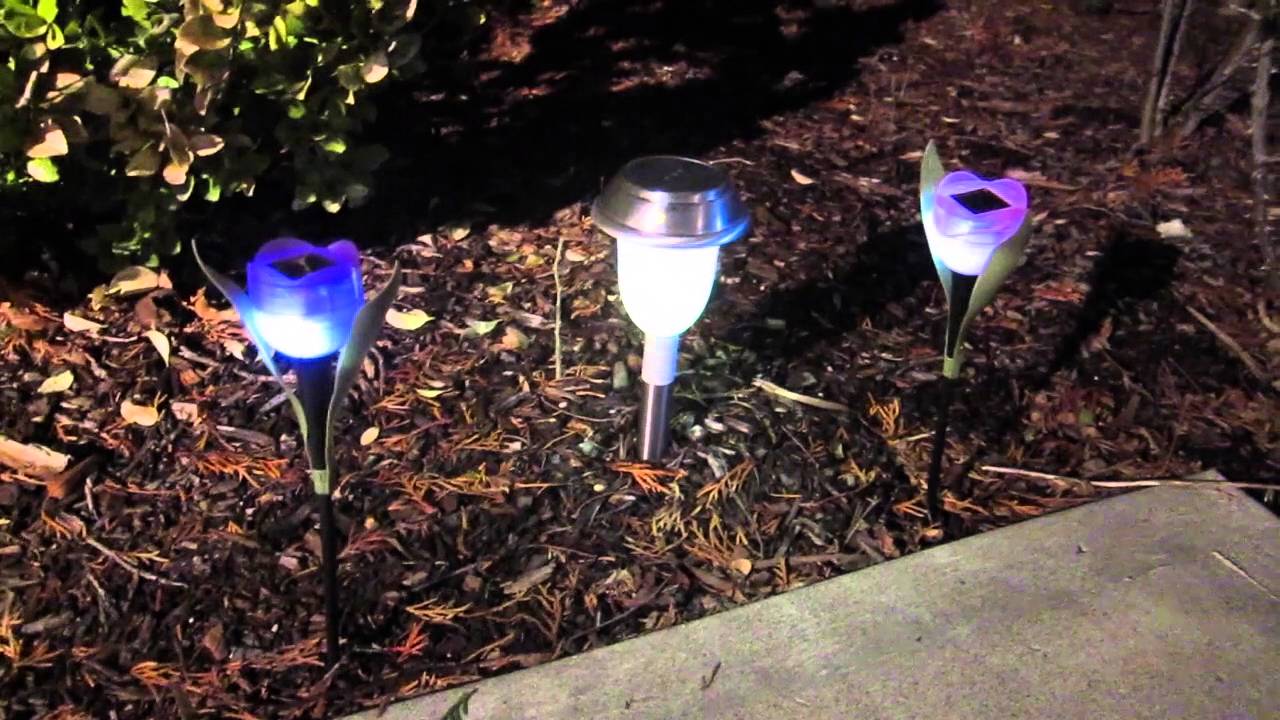 Dollar Tree Solar Tulips Product Review Youtube
