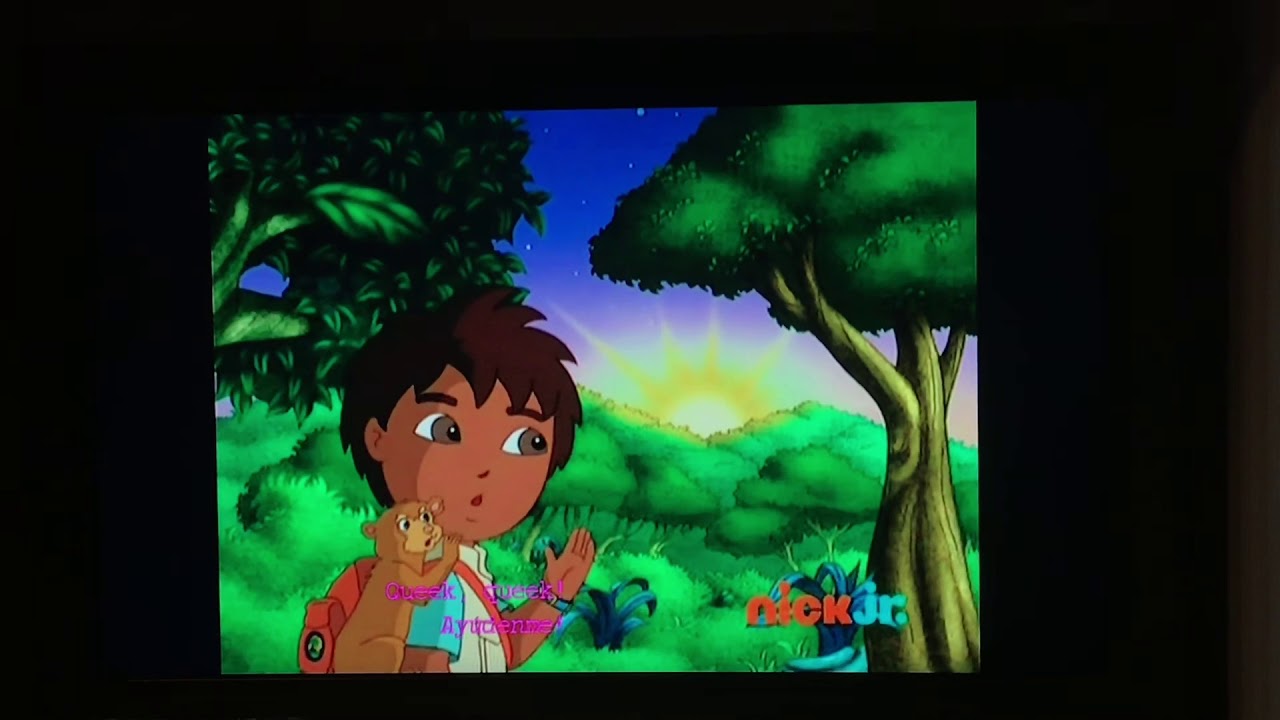 Go Diego Go Little Kinkajou Is In Beehive Trouble