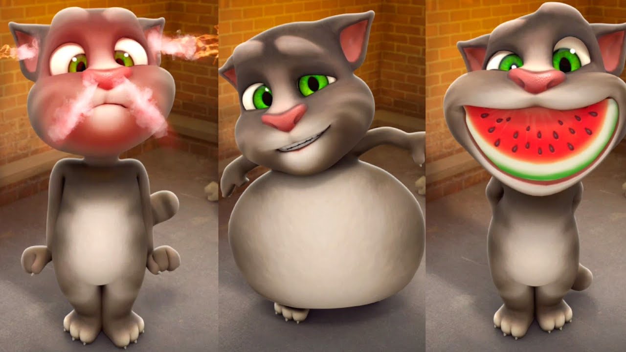 Talking Tom Cat Funny Gameplay Youtube