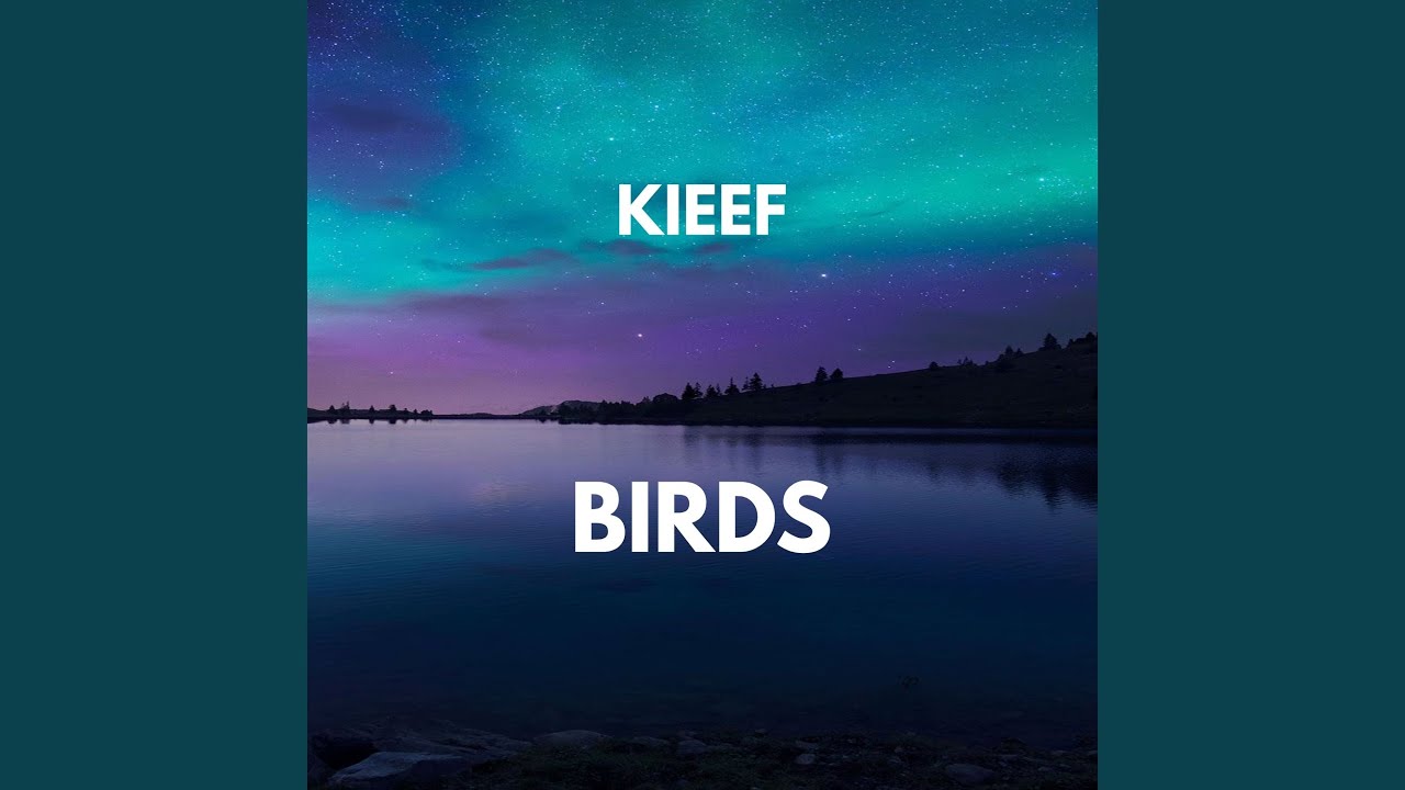 Birds Youtube Music