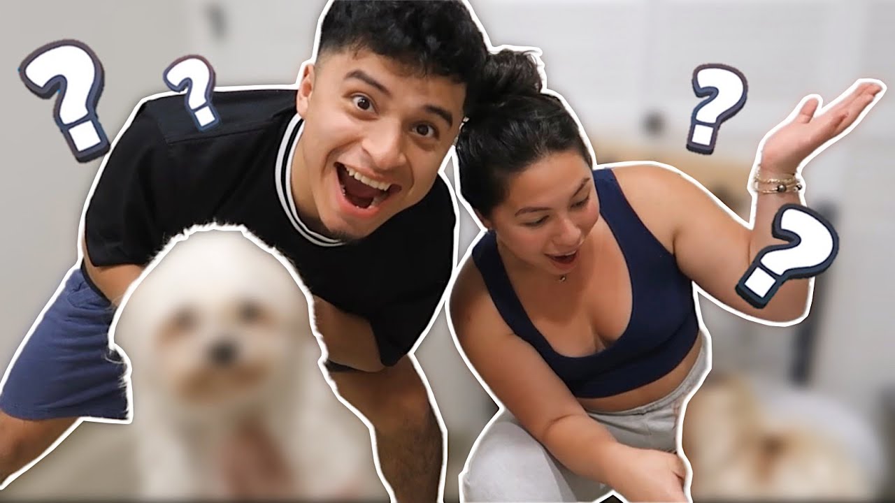 Being Parents For 24 Hours Youtube