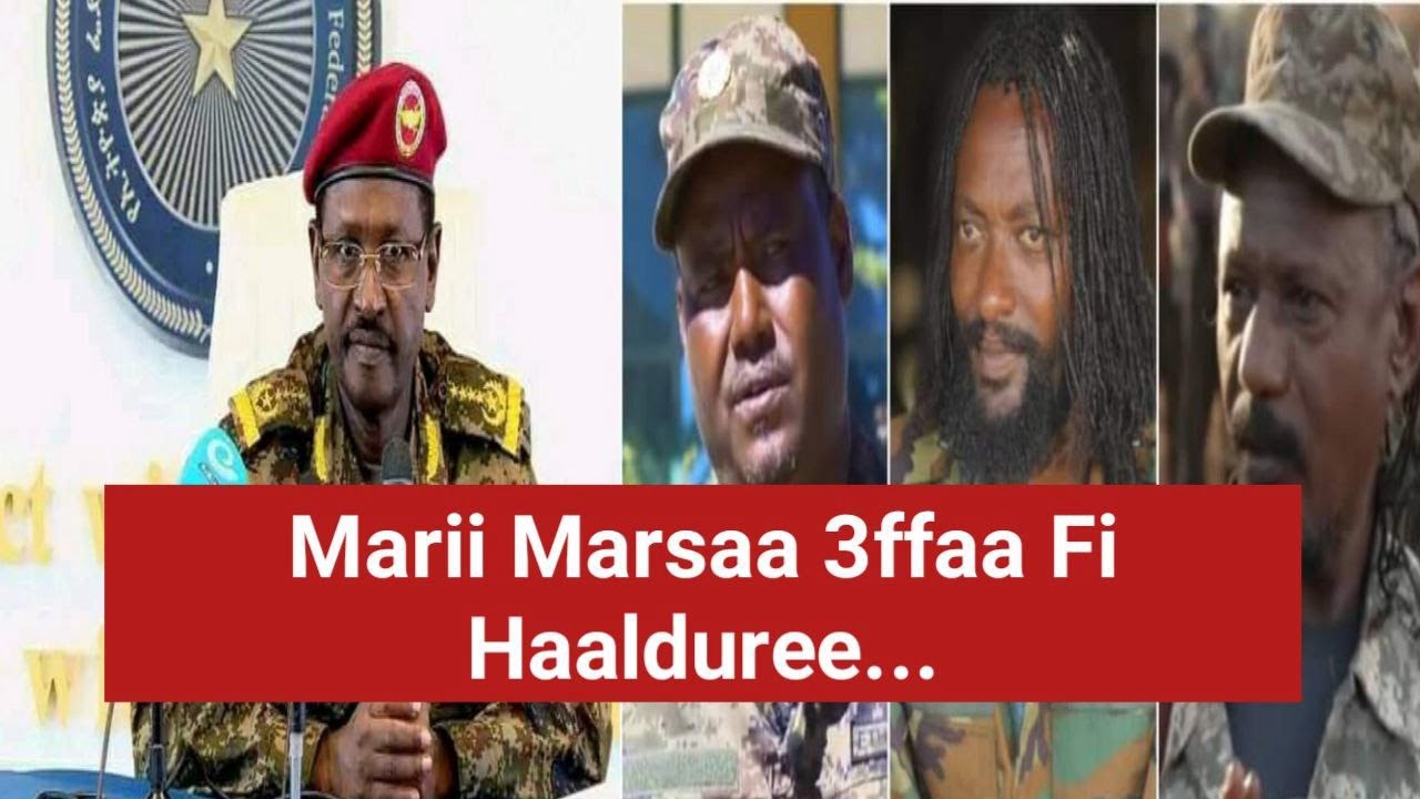 Oduu Mudee 13 2023 Youtube