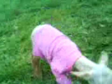 Mov03343 Youtube