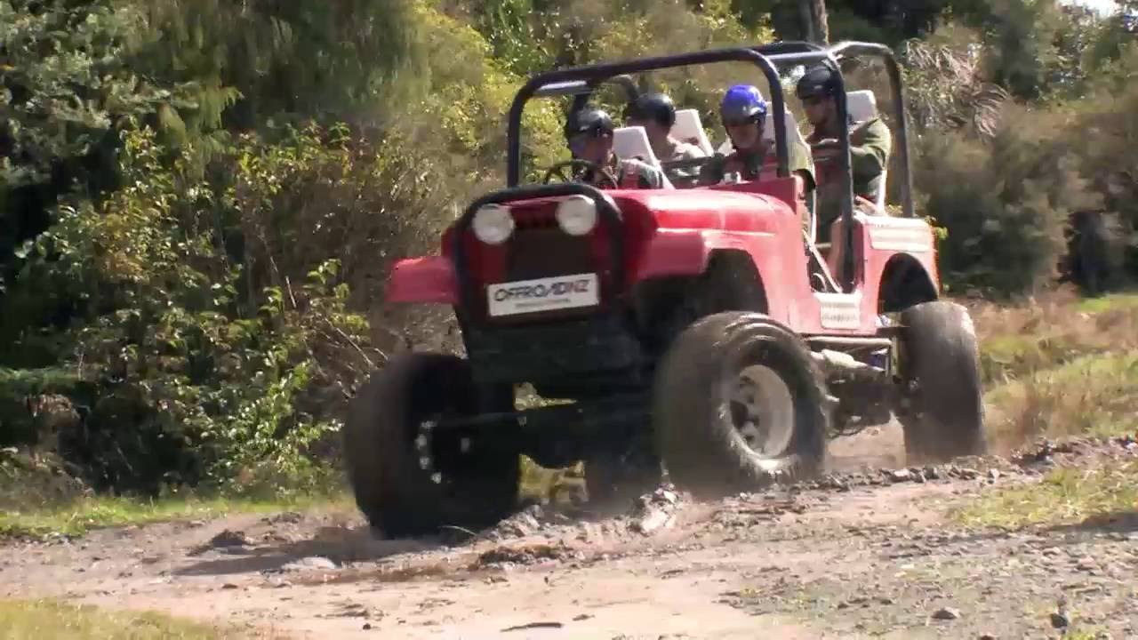 Introducing Serviceiq Youtube