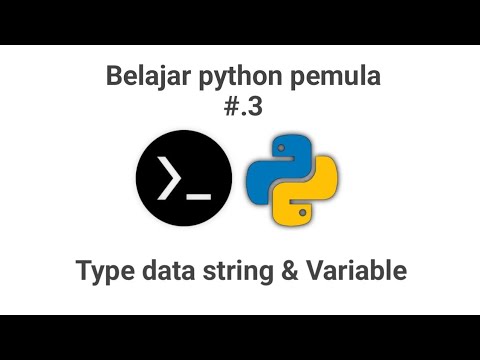 Belajar Python Untuk Pemula 3 Type Data String Dan Variable Youtube