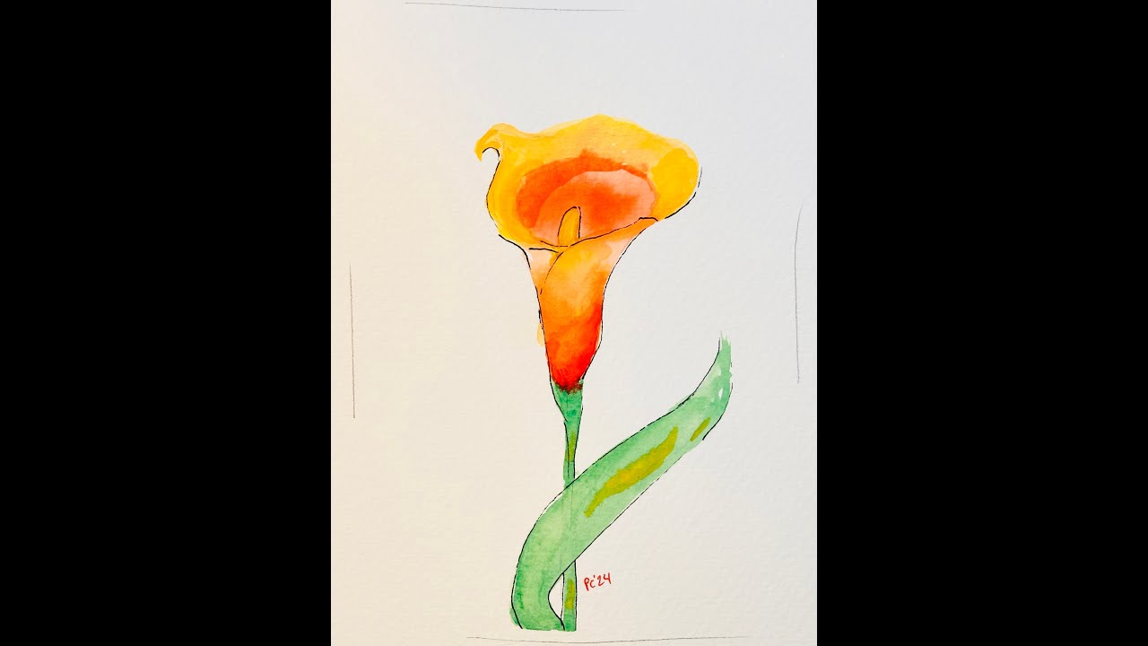 Calla Lily Youtube