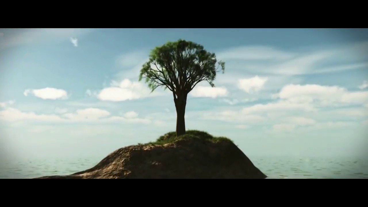 Tree Growing Time Lapse 10 Years At Carla Apgar Blog