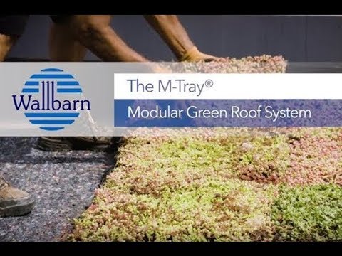 Wallbarn Modular Green Roof Solution Documentary Overview Youtube