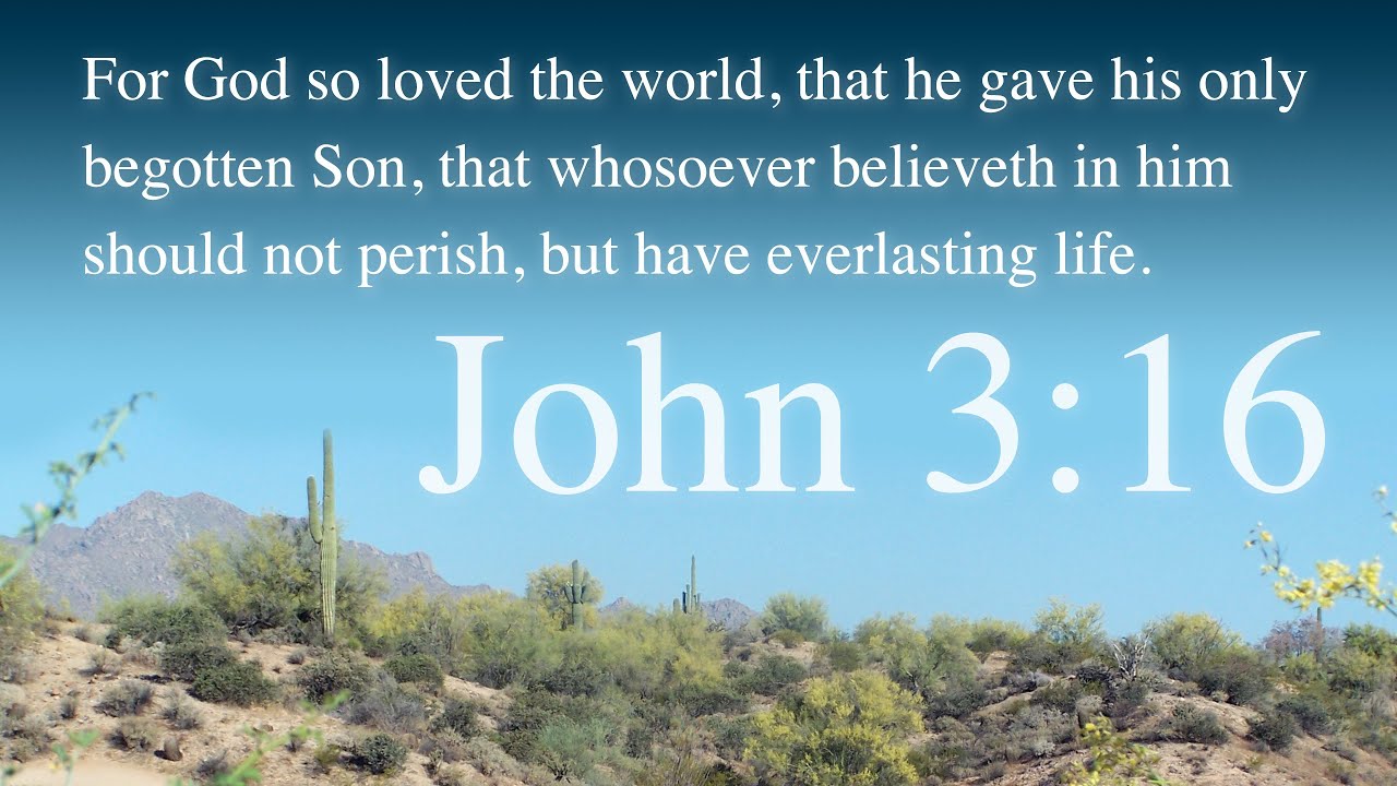 John 3 16 What They Never Taught Us In Church Youtube