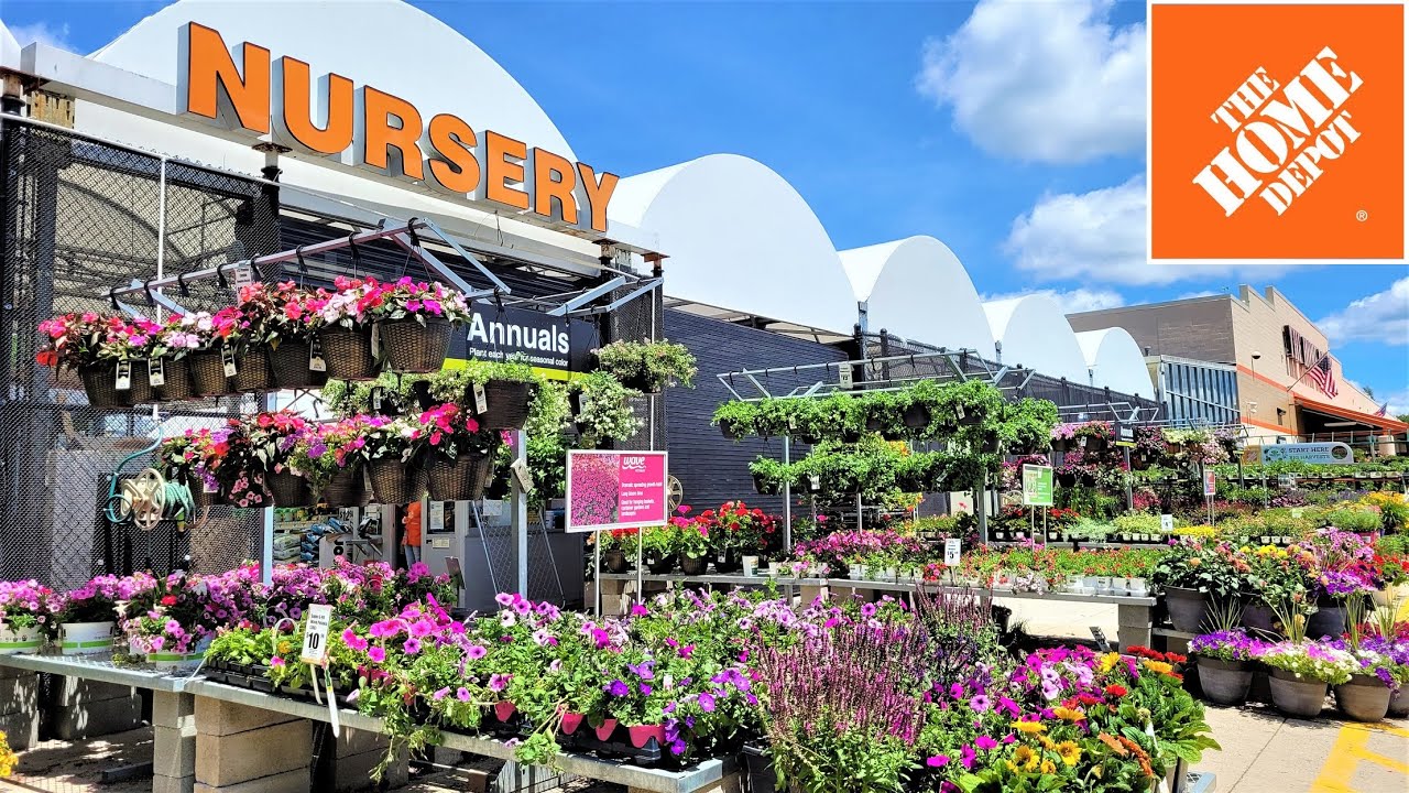Home Depot Garden Center Plants