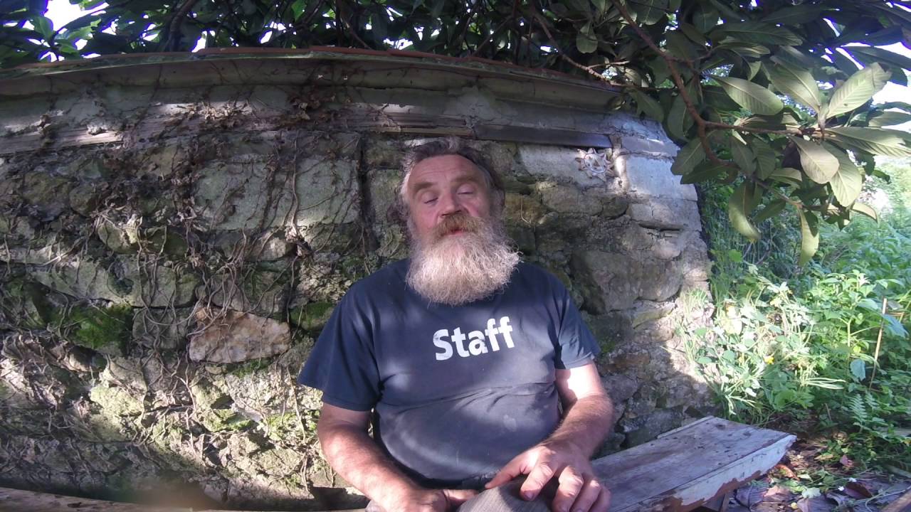 Nibs Definition Etymology At Gabriel Faulkner Blog