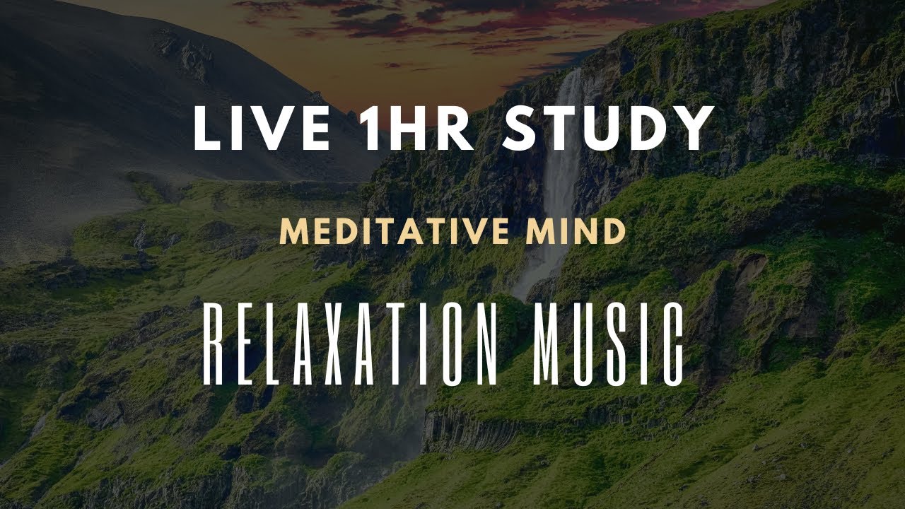 Live Study Session Youtube