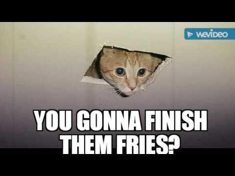 Emo Memes Emo Know Your Meme