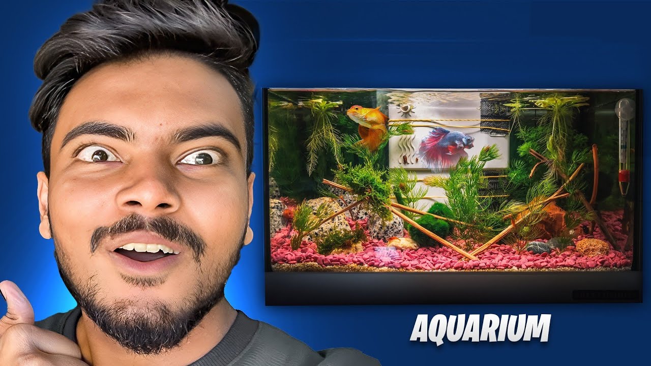 Our New Pets Youtube