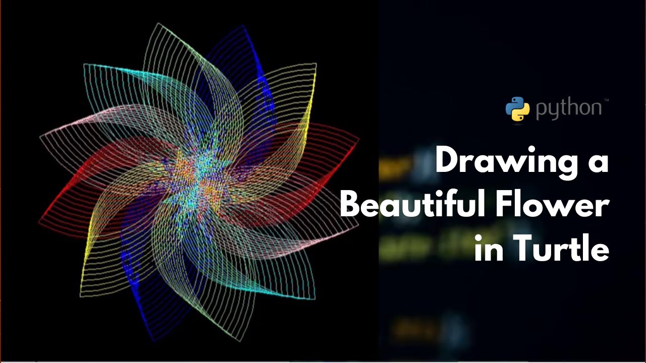 How To Draw A Flower Using Turtle In Python