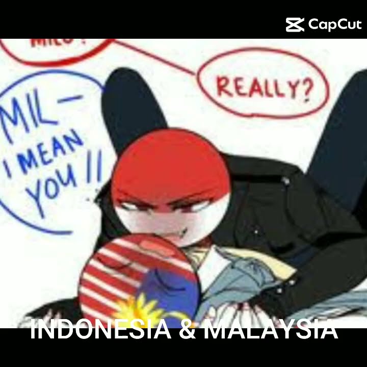 Ada Dua Budak Kembar Countryhumans Indonesia X Malaysia Capcut