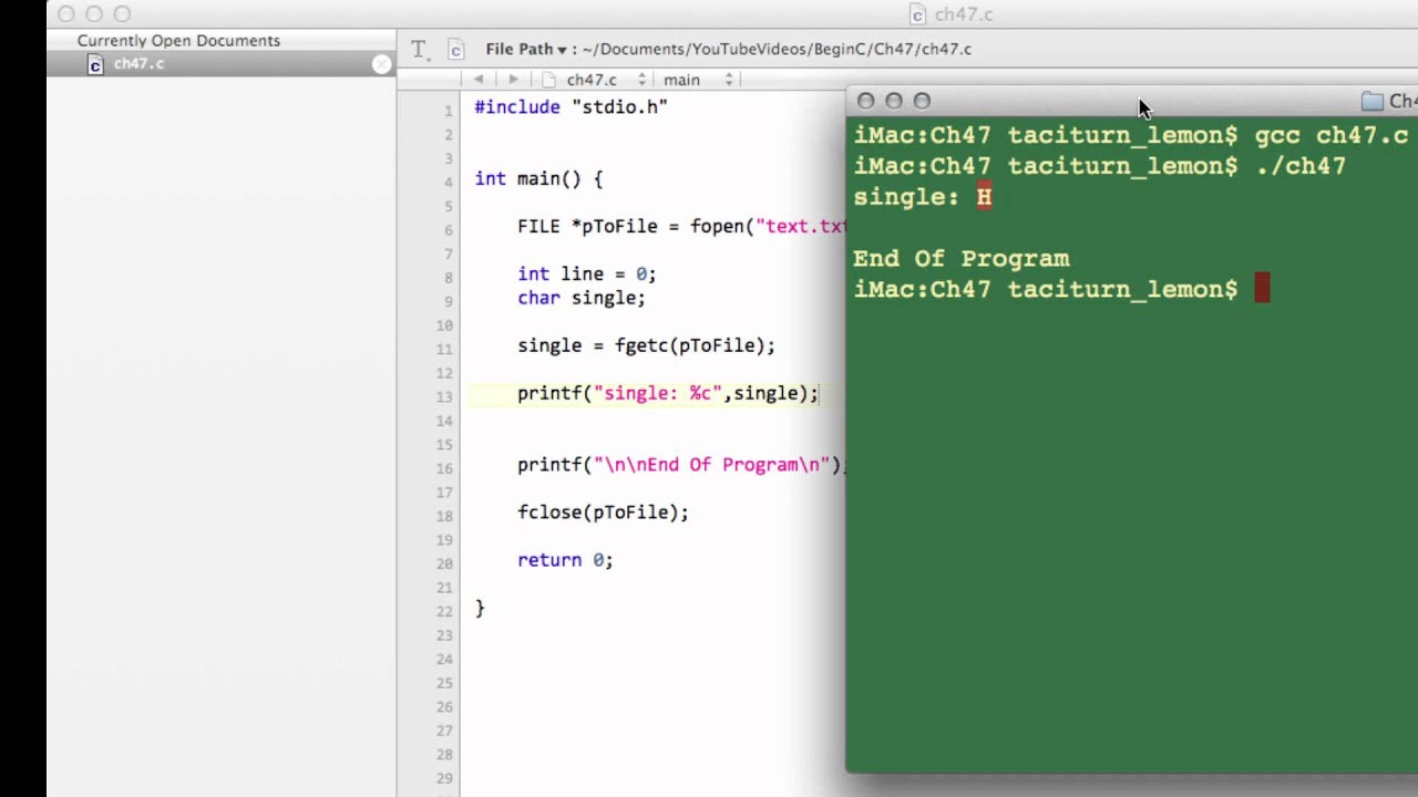 Beginning C Programming Part 47 Read Text From A File By Character