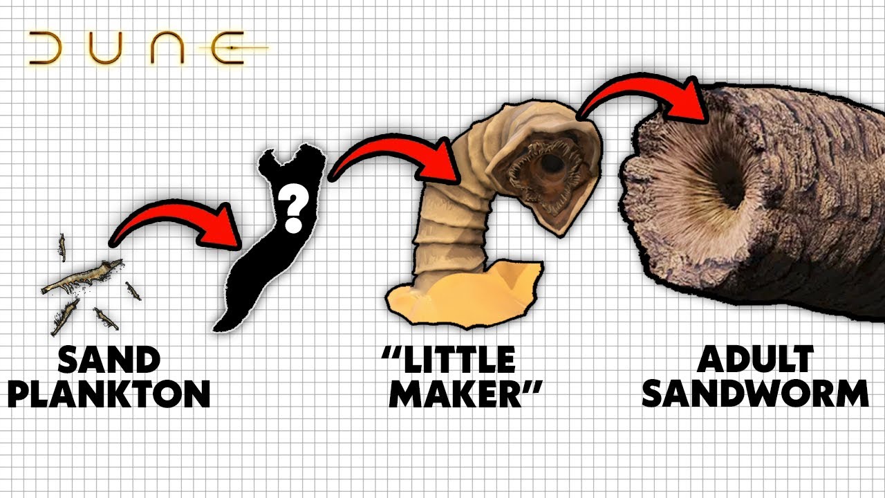 Dune How Big Do Sandworms Get Youtube