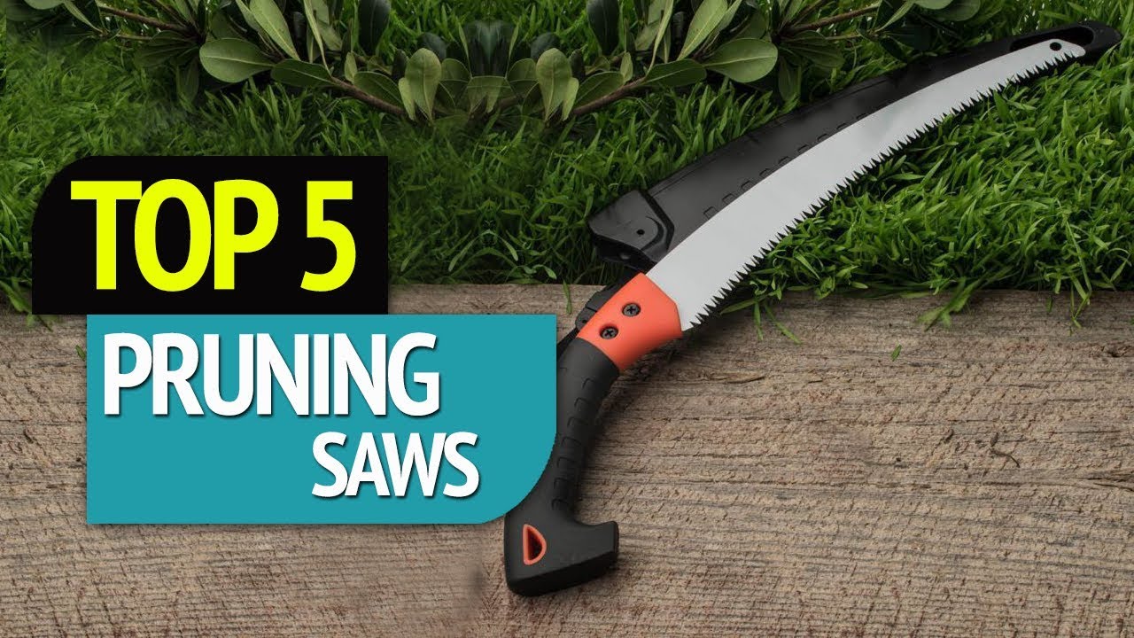 Top 5 Pruning Saws Youtube