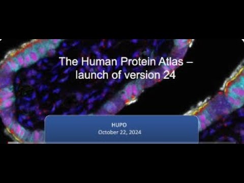 Launch Hpa Version 24 Youtube