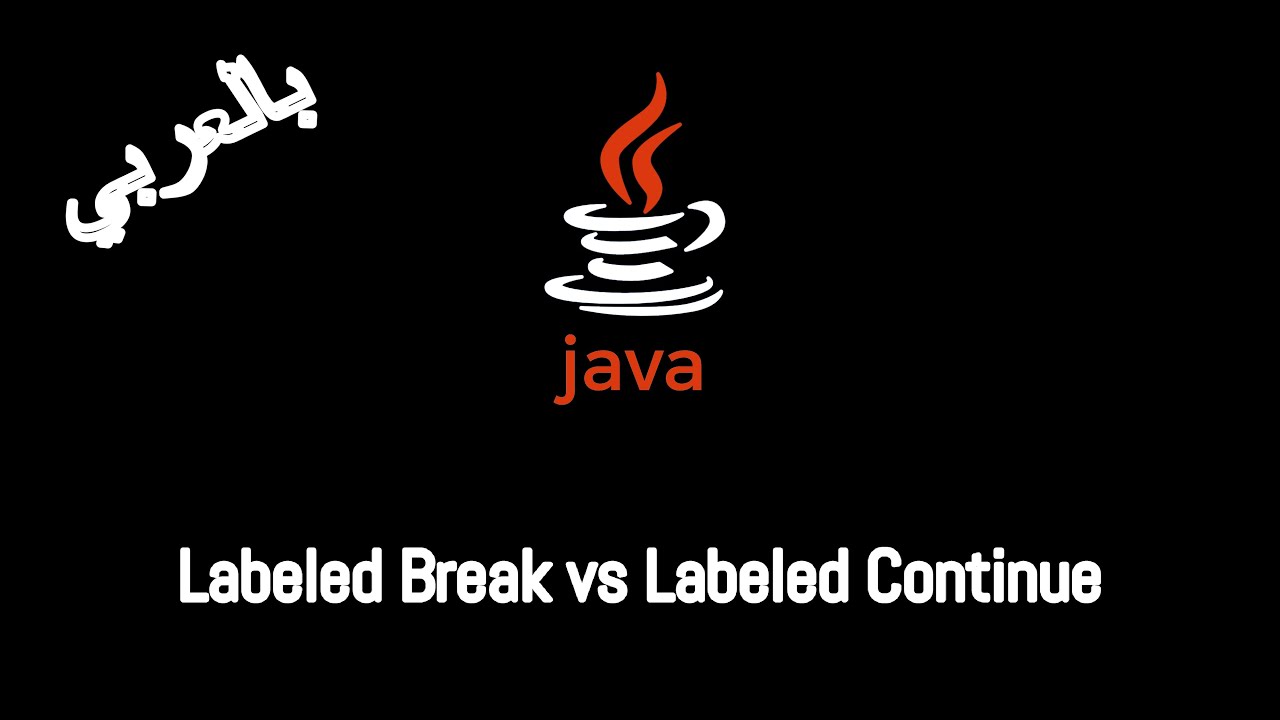 017 Java Branching Statements Labeled Break Labeled Continue