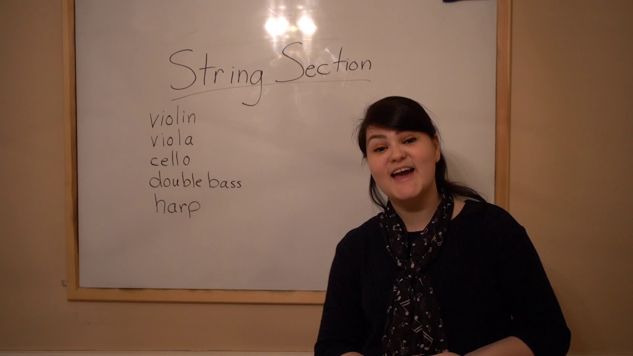 The String Section Youtube
