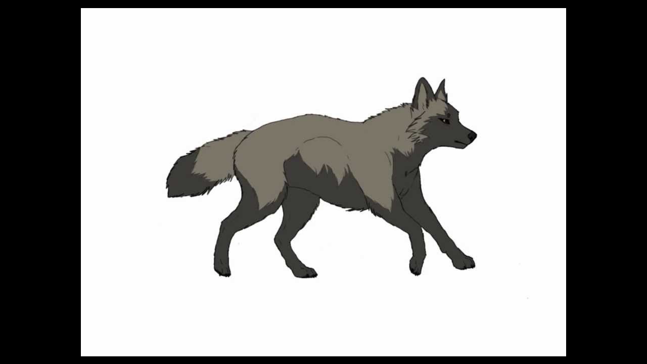Wolf Run Cycle Animation
