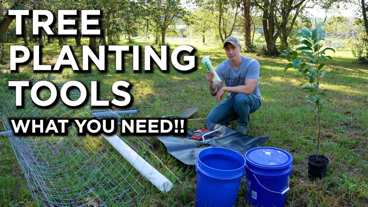 The Essential Tools For A Successful Tree Planting Youtube