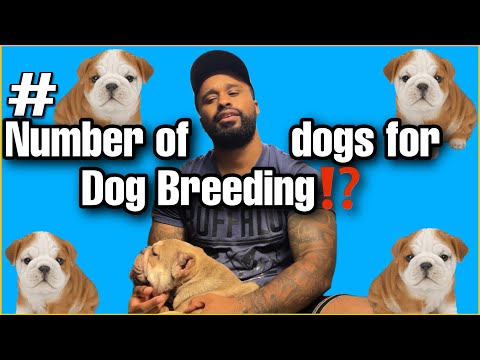 What Is The Ideal Dog Breeding Population Upd 2 Days Ago