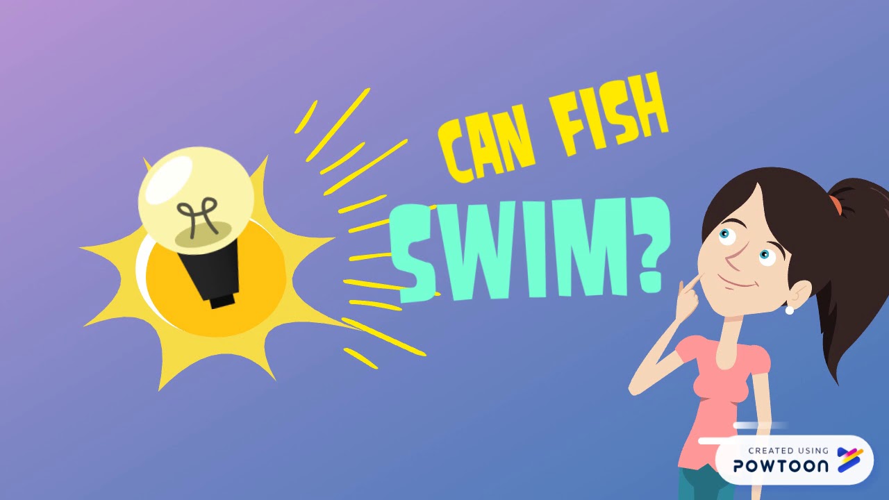 Rhetorical Questions Youtube