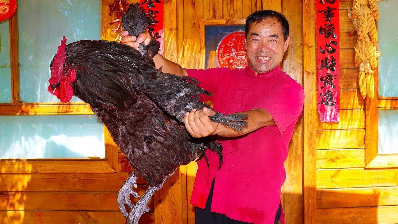 7 5kg Black Rooster Cooking Delicious From Beak To Bone Uncle Rural