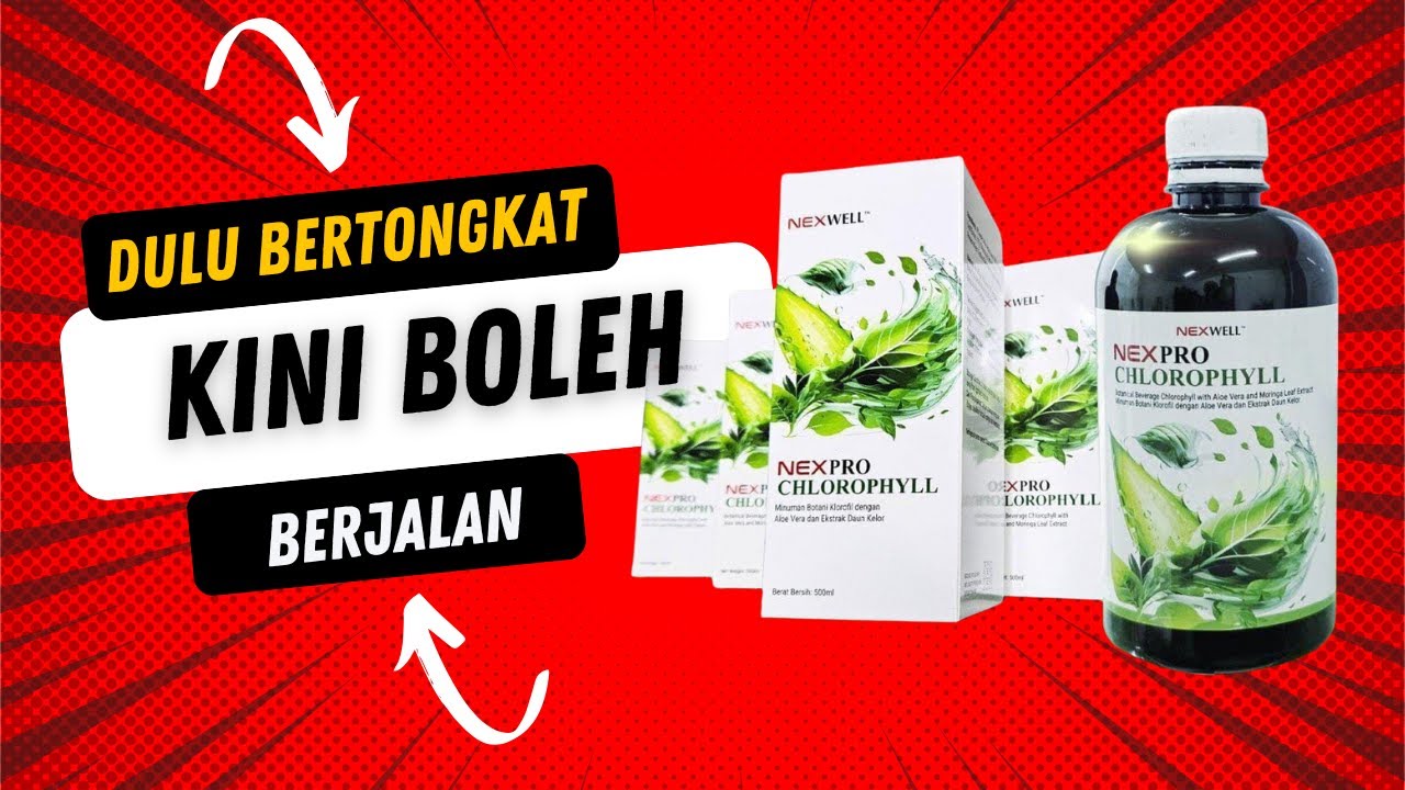 Agen Diperlukan 019 571 8097 Othman Youtube