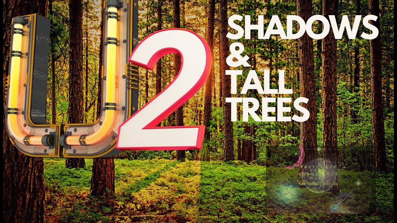 Lord Of The Flies Shadows And Tall Trees