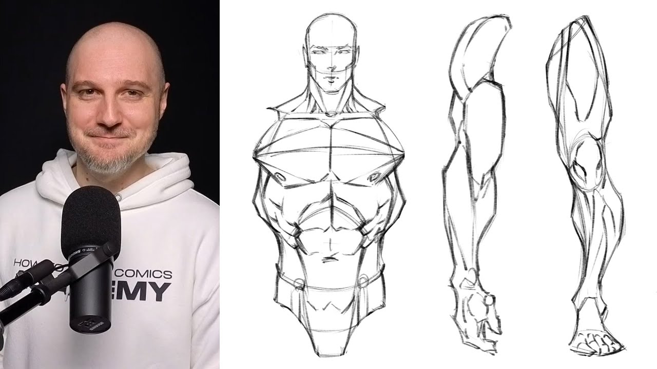 Male Anatomy Sketch