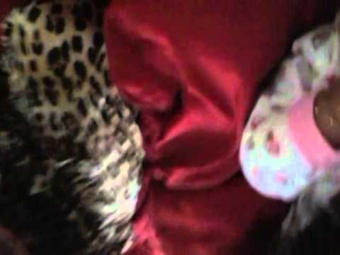 Im Rubbing My Sisters Belly Youtube