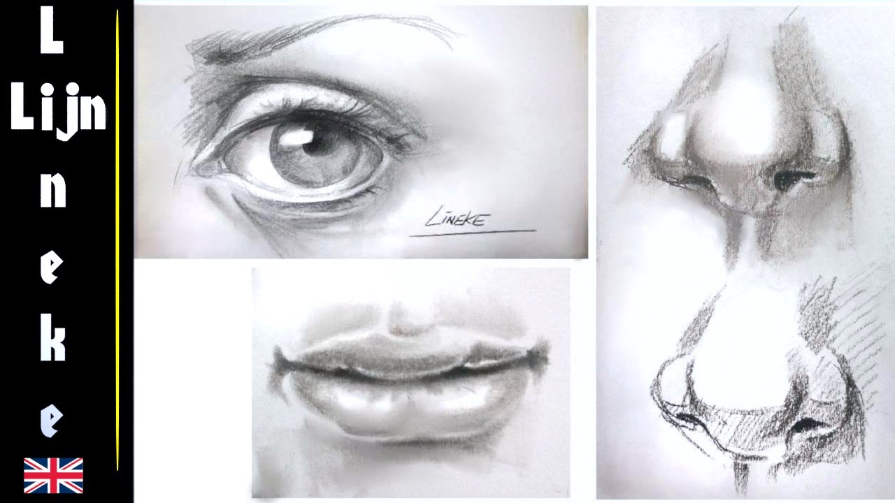 Nose And Mouth Drawing