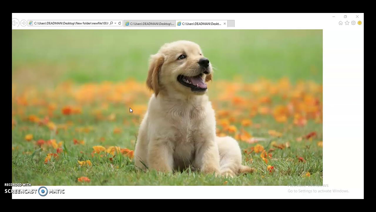 How To Add An Image To Webpage Using Html Easy Lesson Imgsrc Tag Youtube
