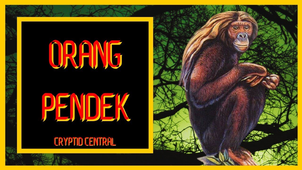 The Orang Pendek A Short Documentary Youtube