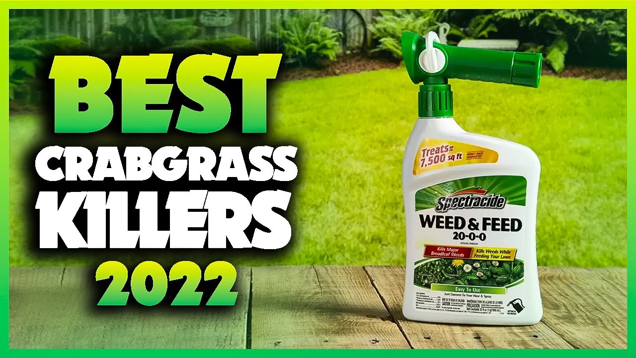 Top 5 Best Crabgrass Killers You Can Buy Right Now 2023 Youtube