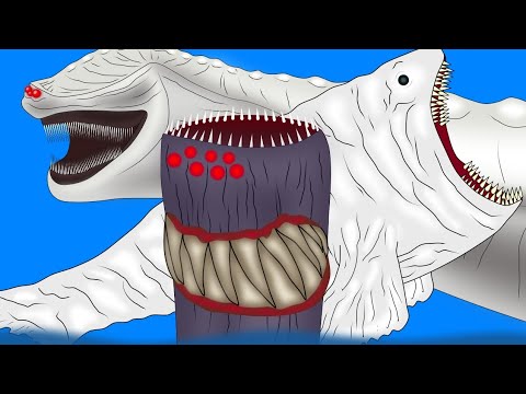 Full Episode Worm Vs El Gran Maja Vs Bloop Youtube