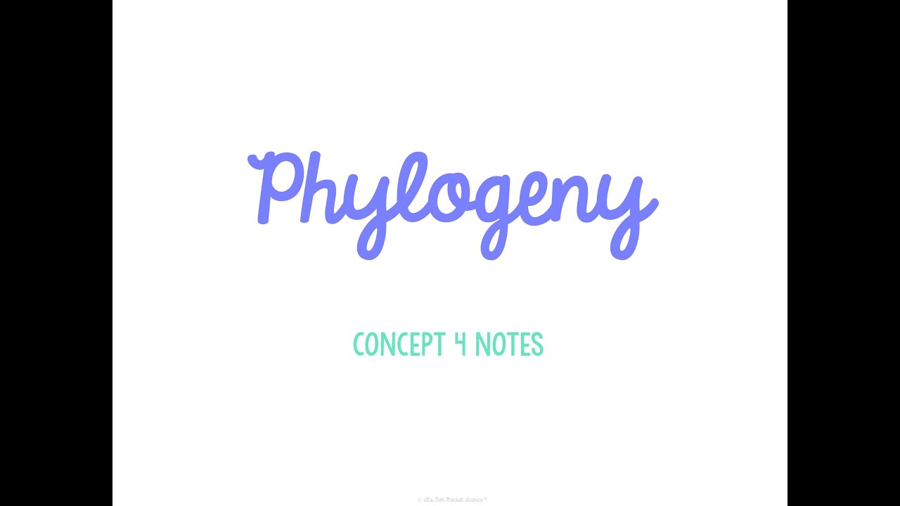 Unit 6 Evolution Concept 4 Notes Updated Youtube