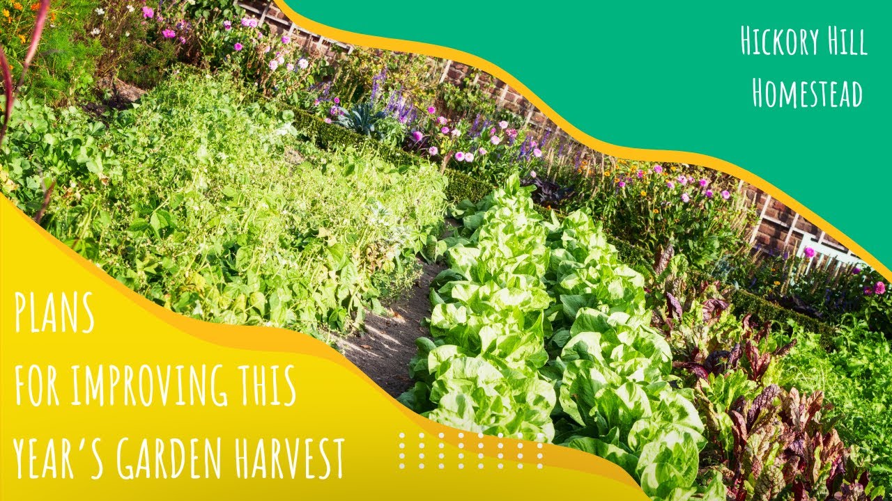 Planning A Better Garden Improving The Soil Youtube