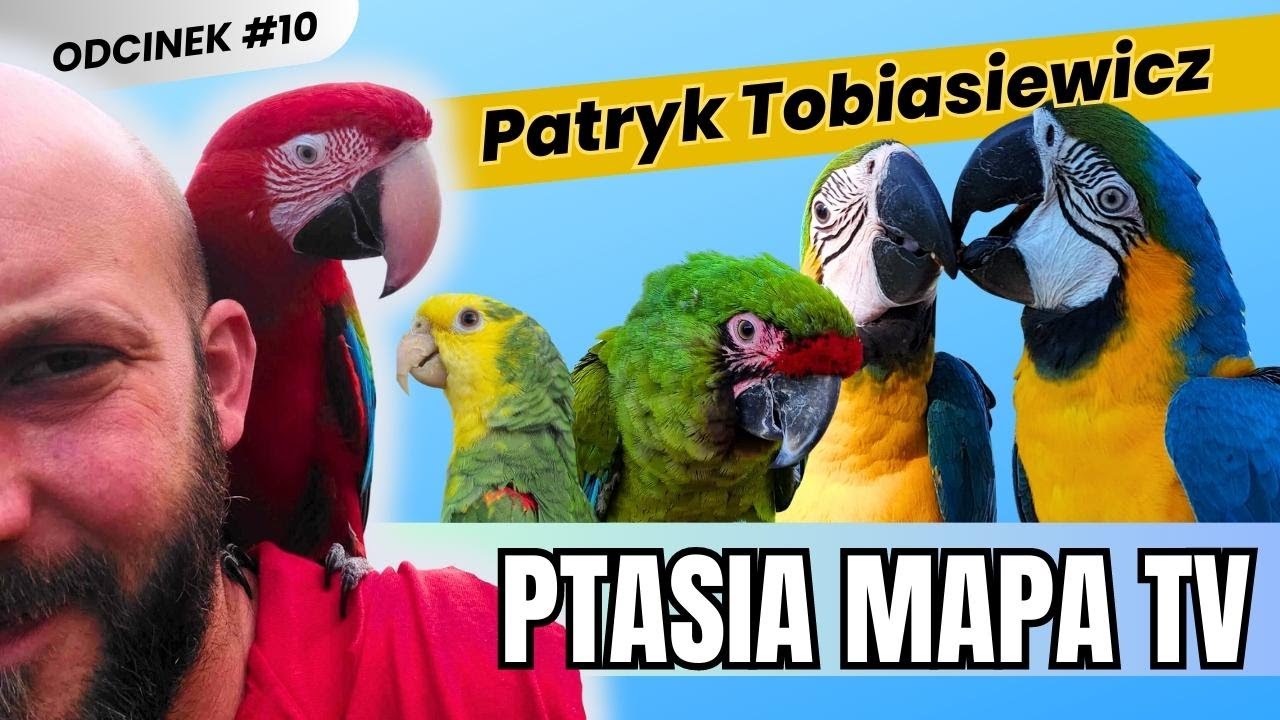 Ptasi Mapa Tv Odcinek 10 Patryk Tobiasiewicz Youtube