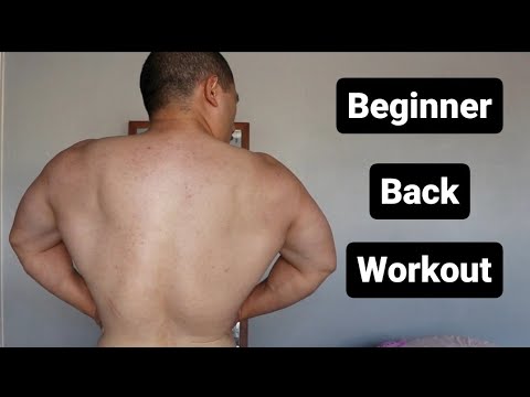 Simple Beginner Back Workout Youtube