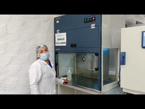 Manejo De Camara De Flujo Laminar Cfl Youtube