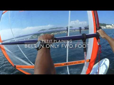 Harness Training Youtube