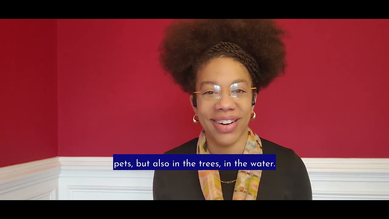 Dignityambassadoracademy Class Dignity 101 Youtube