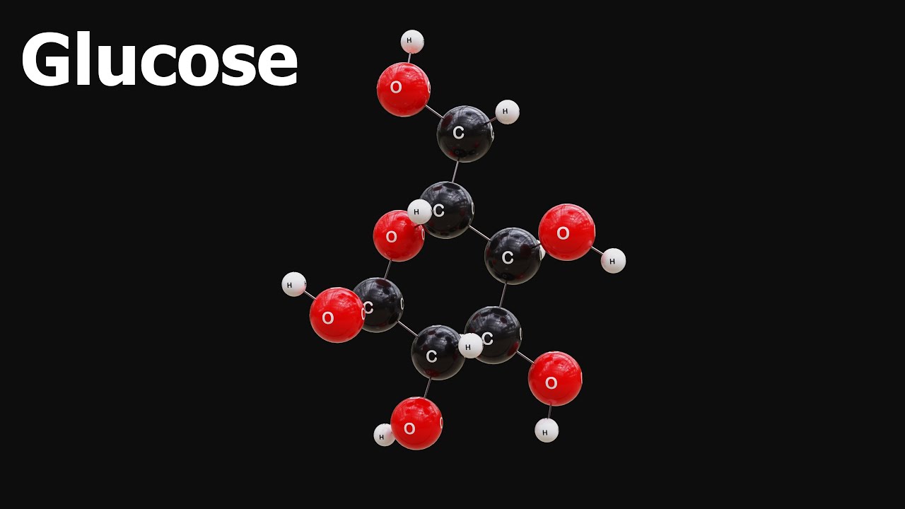Glucose Molecule Model Glucose Isomer Molecular Models As Tools For